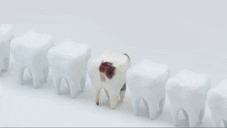 Can A Dental Implant Be Placed Right After a Tooth is Extracted?